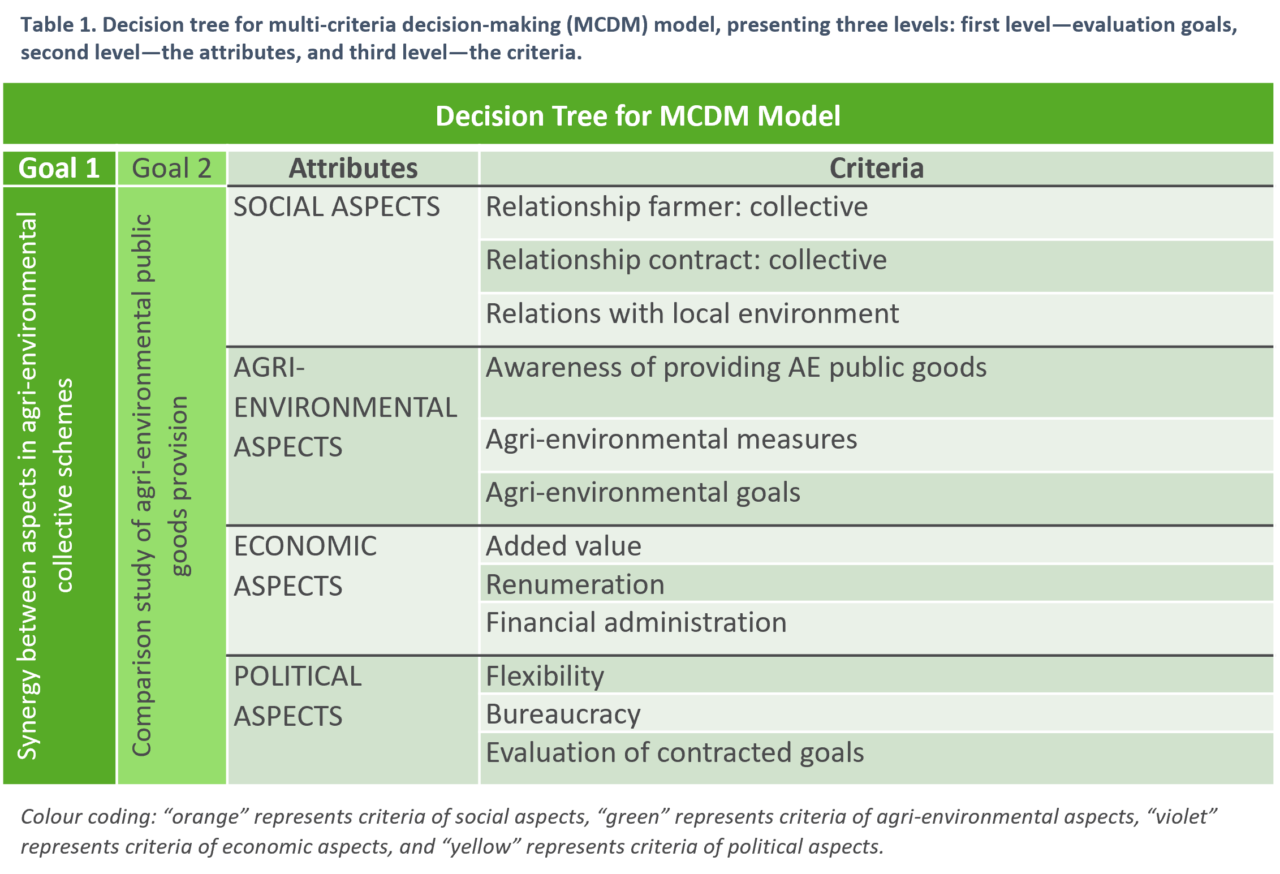 How to utilize SWOT results in a Multi Criteria Decision Making (MCDM) model